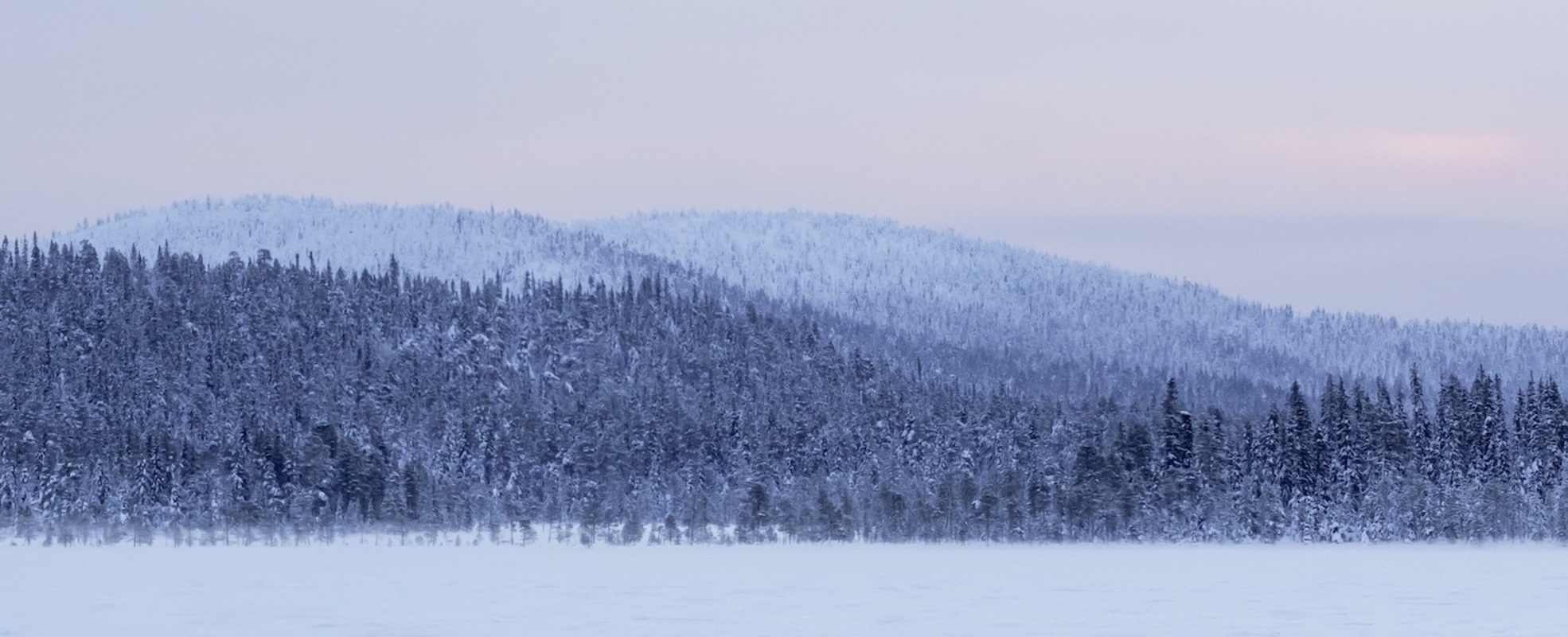 Sandras Freiwilligenarbeit beim Husky-Projekt in Schweden