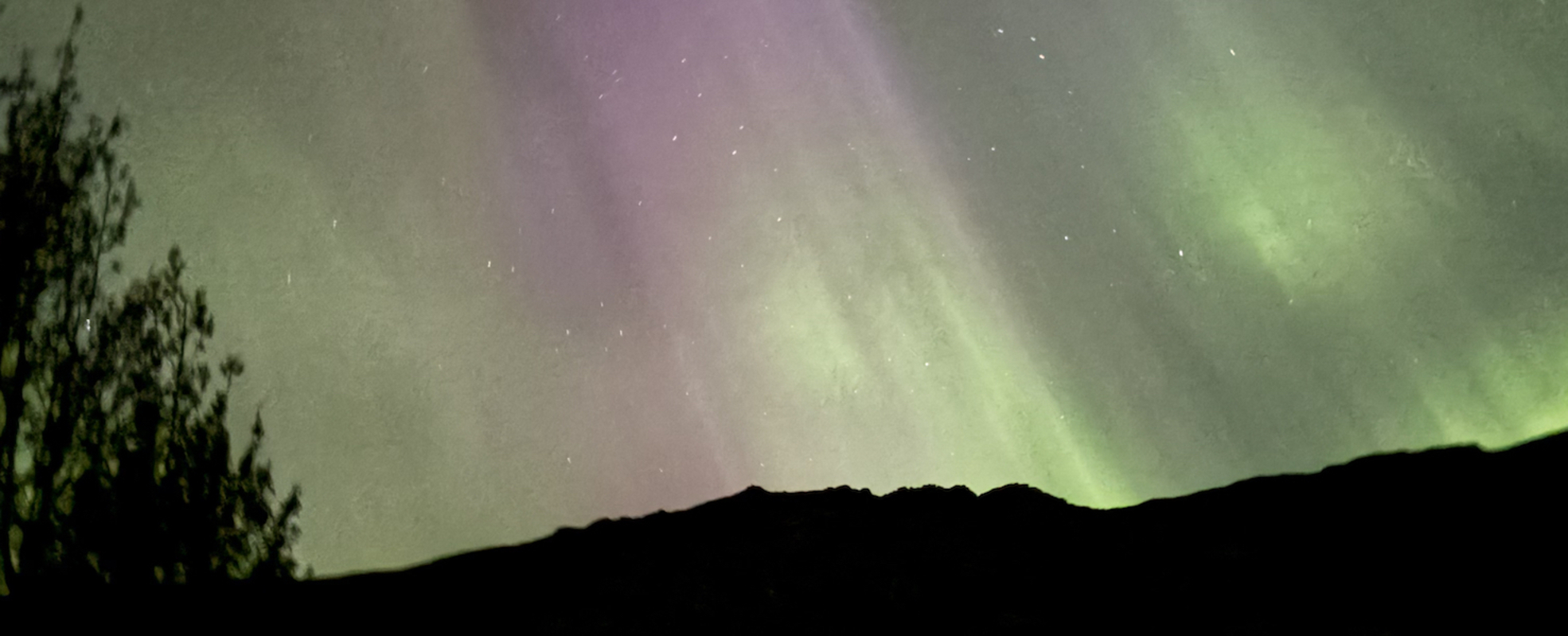 Benedikts Freiwilligenarbeit im Husky Projekt in Schweden