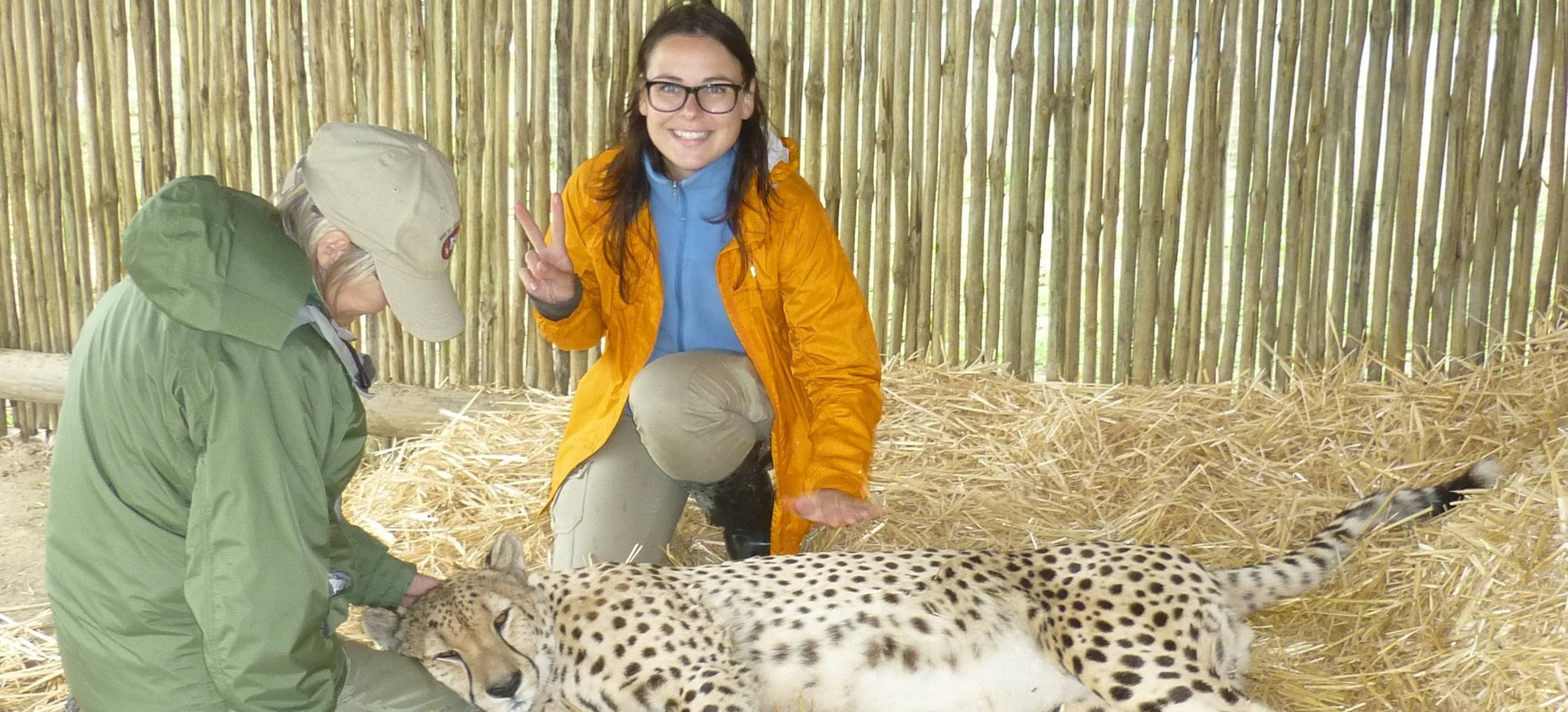 Erfahrungen aus der Cheetah Farm in Südafrika