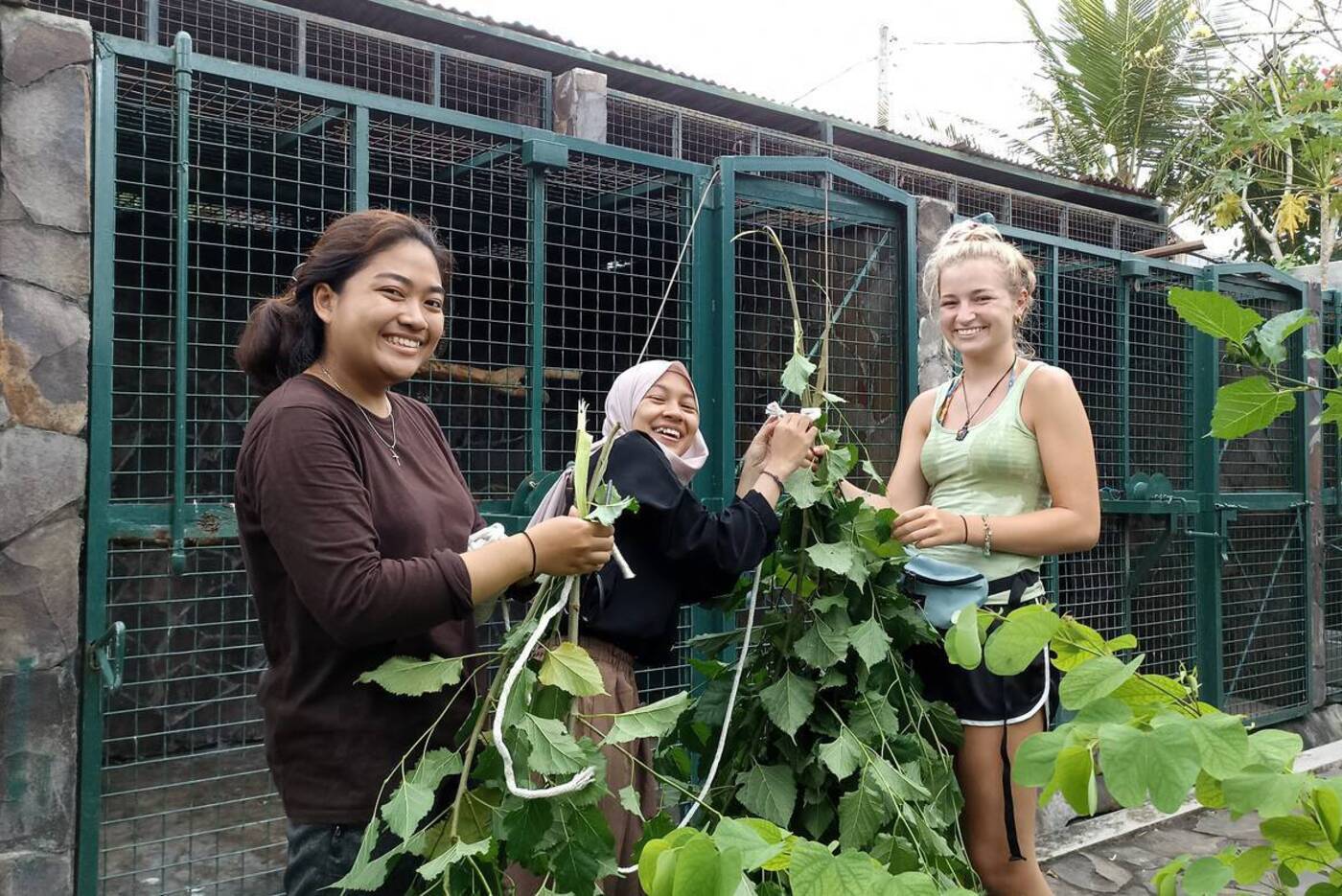 Auslandspraktikum | Individuelle Praktika im Ausland