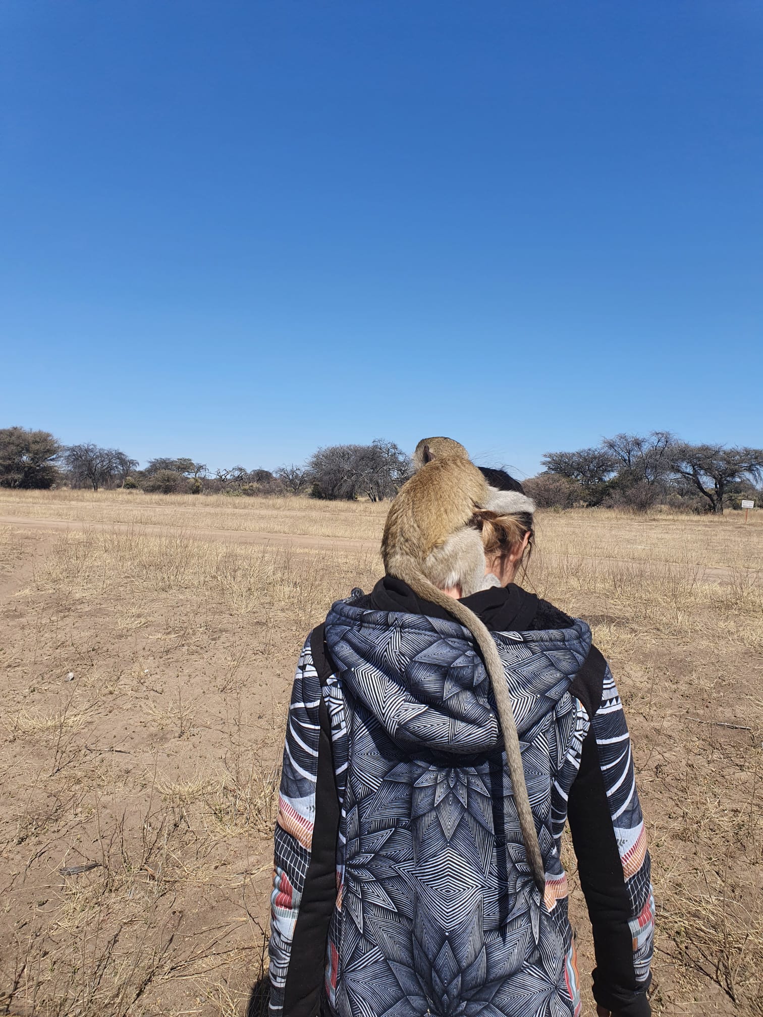 Erfahrungsbericht aus einem Wildlife Projekt in Namibia