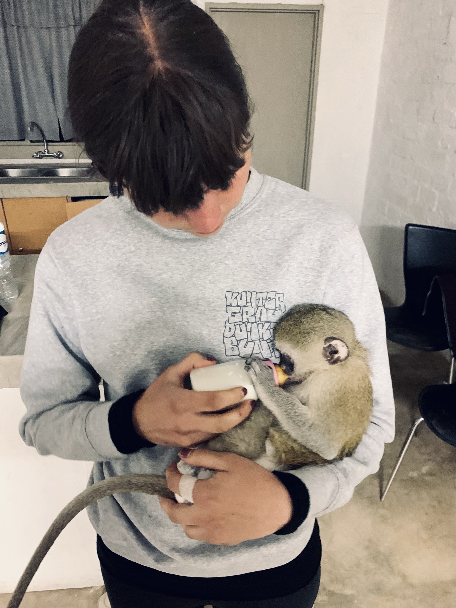 Erfahrungsbericht aus einem Wildlife Projekt in Namibia