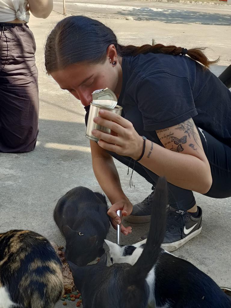 Erfahrungsbericht im Tierschutz-Unterricht in Thailand | RGV
