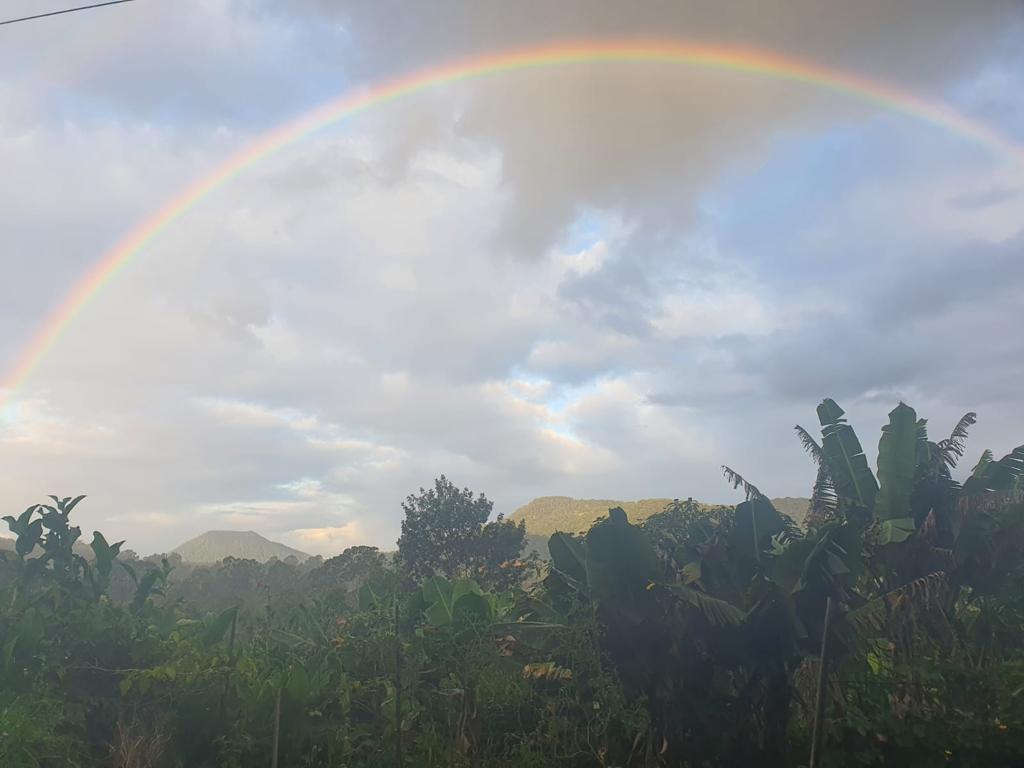 Freiwilligenarbeit in Eco Community an der Sunshine Coast