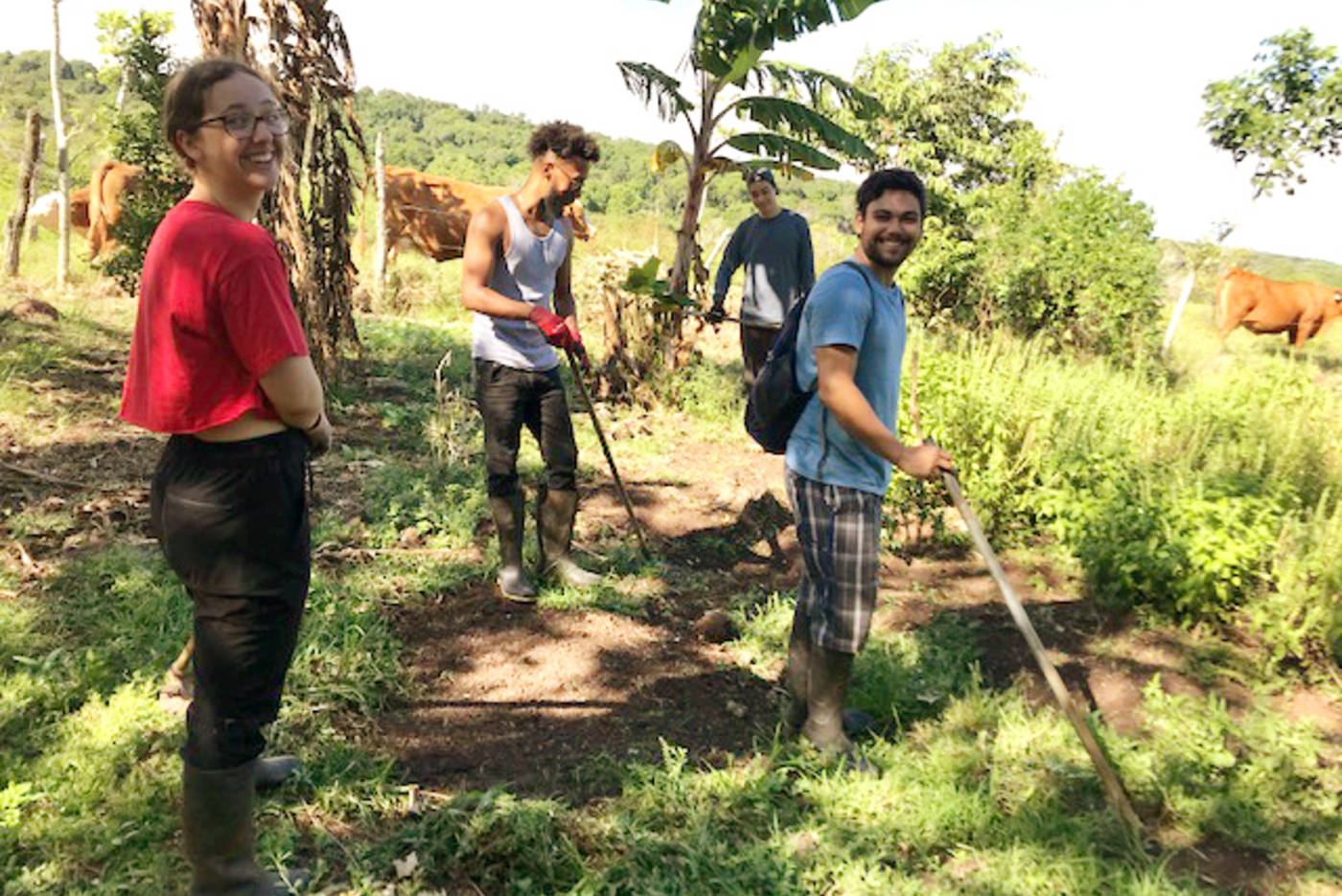 10 Gründe, Freiwilligenarbeit zu leisten | Rainbow Garden Village